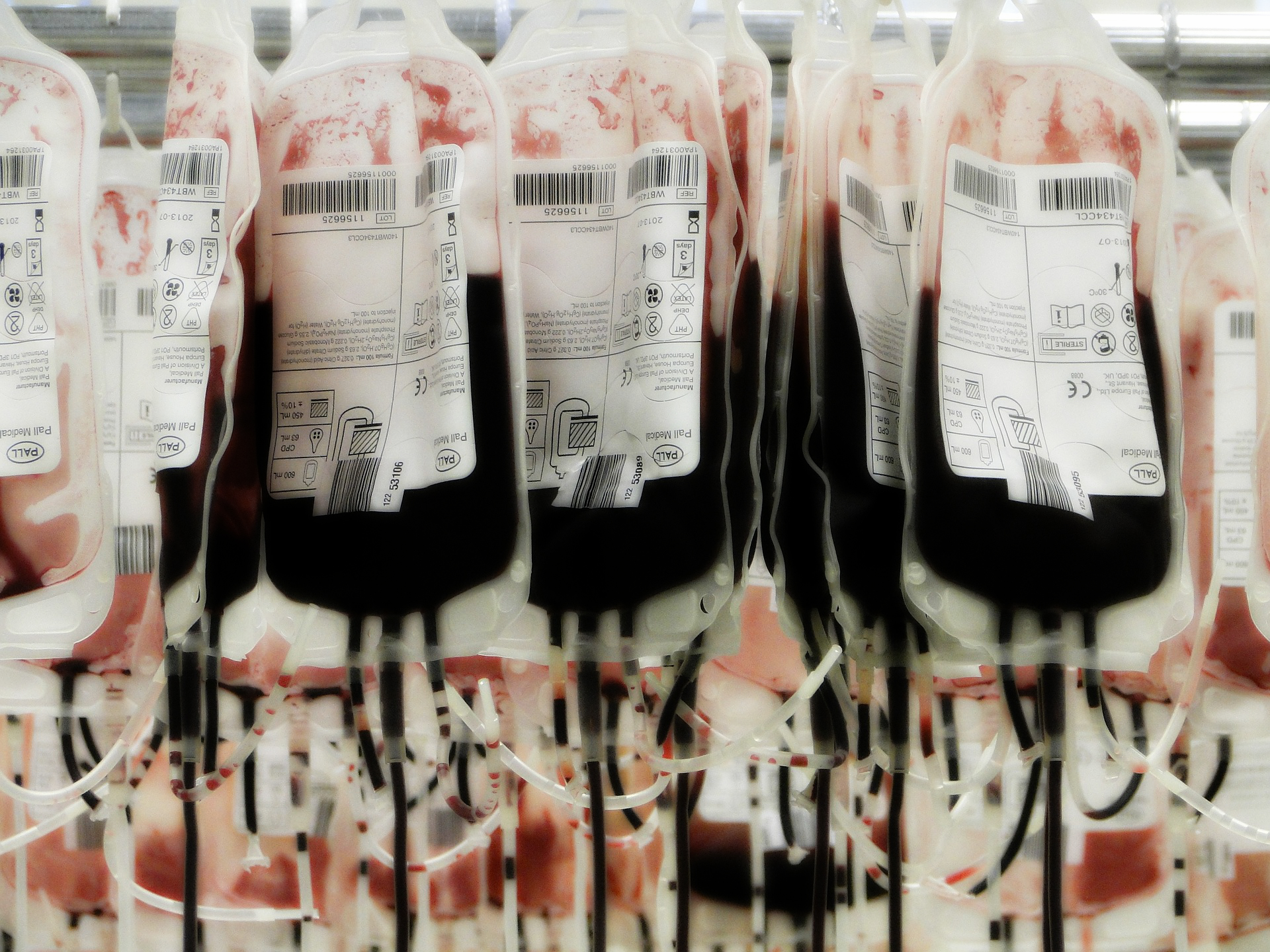 Young Blood Transfusion Have Anemic Result – Gothic Bite Magazine